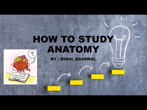 HOW TO STUDY ANATOMY | TRICKS | - YouTube
