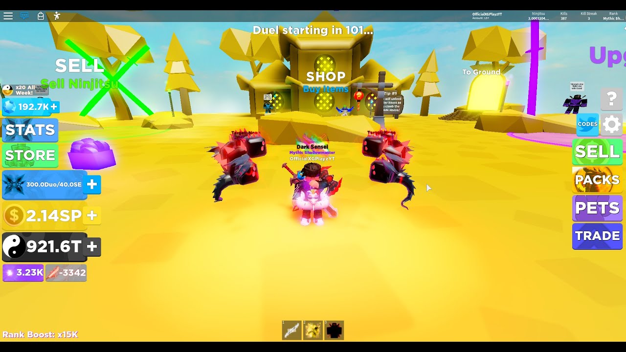 Ninja legends BEST PET!!! New rank and best sword!! - YouTube