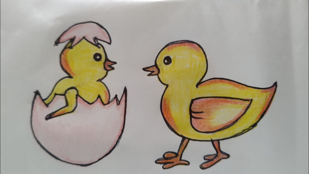 Chic Drawing