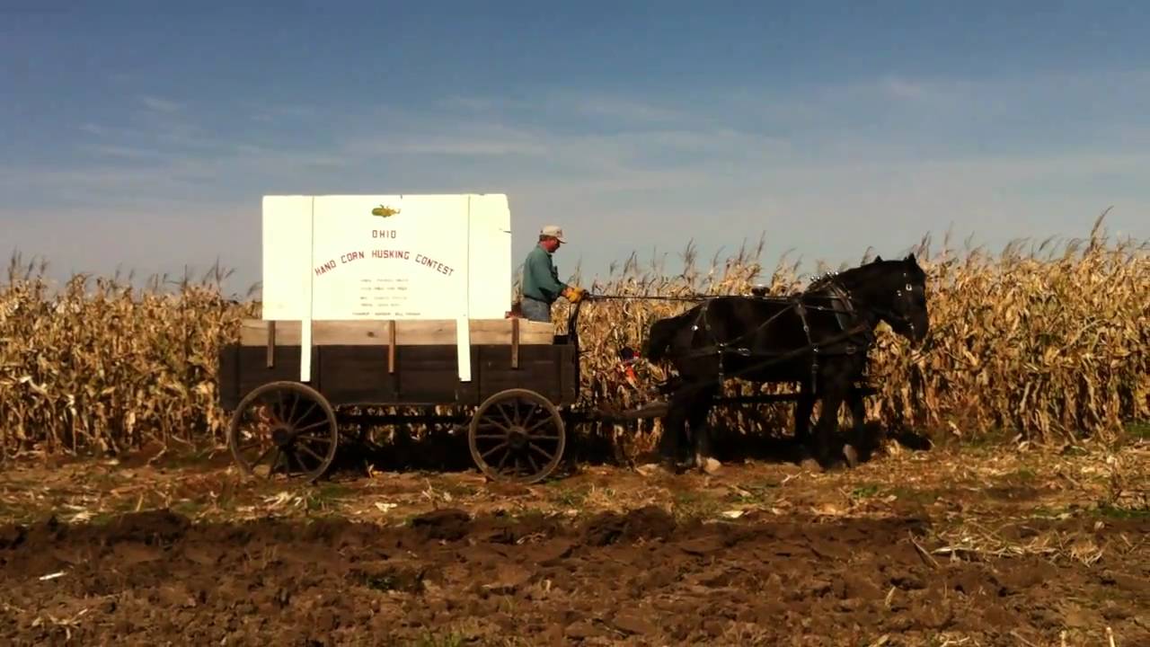 Hand Corn Husking Contest - YouTube