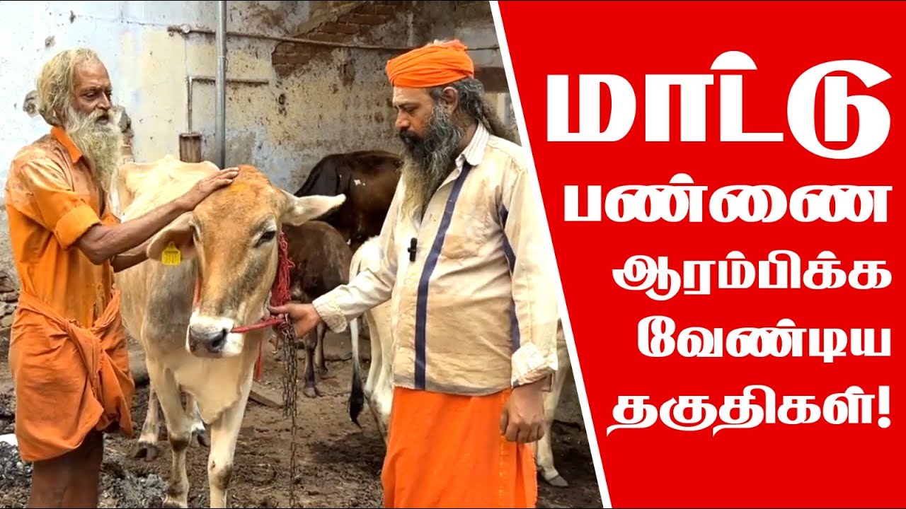 Mattu pannai | மாட்டு பண்ணை ஆரம்பிக்க வேண்டிய தகுதிகள்! | Dairy Farm in ...