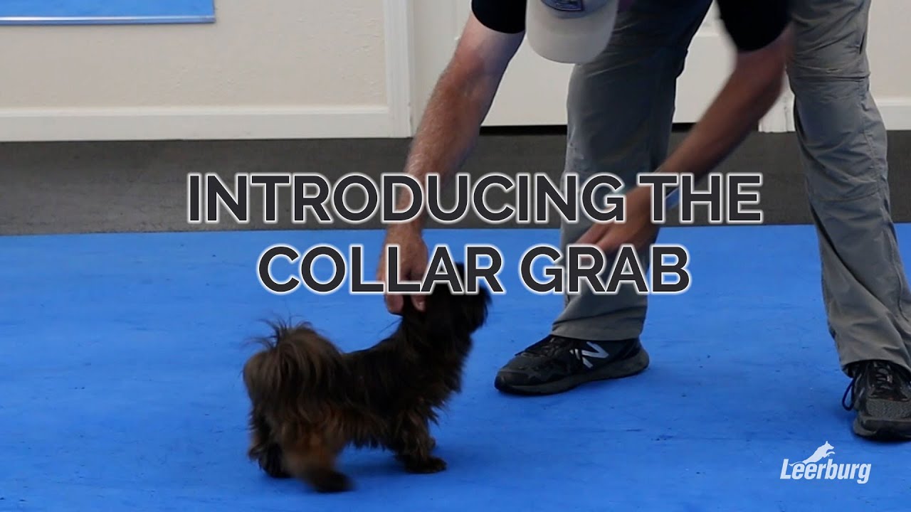 Introducing the Collar Grab - YouTube