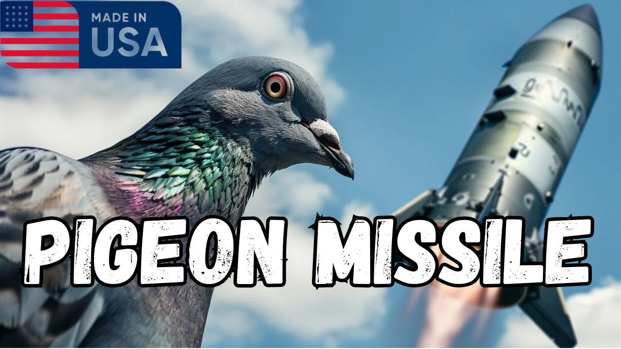 Project Pigeon: The Guided Bird Missile of USA - YouTube
