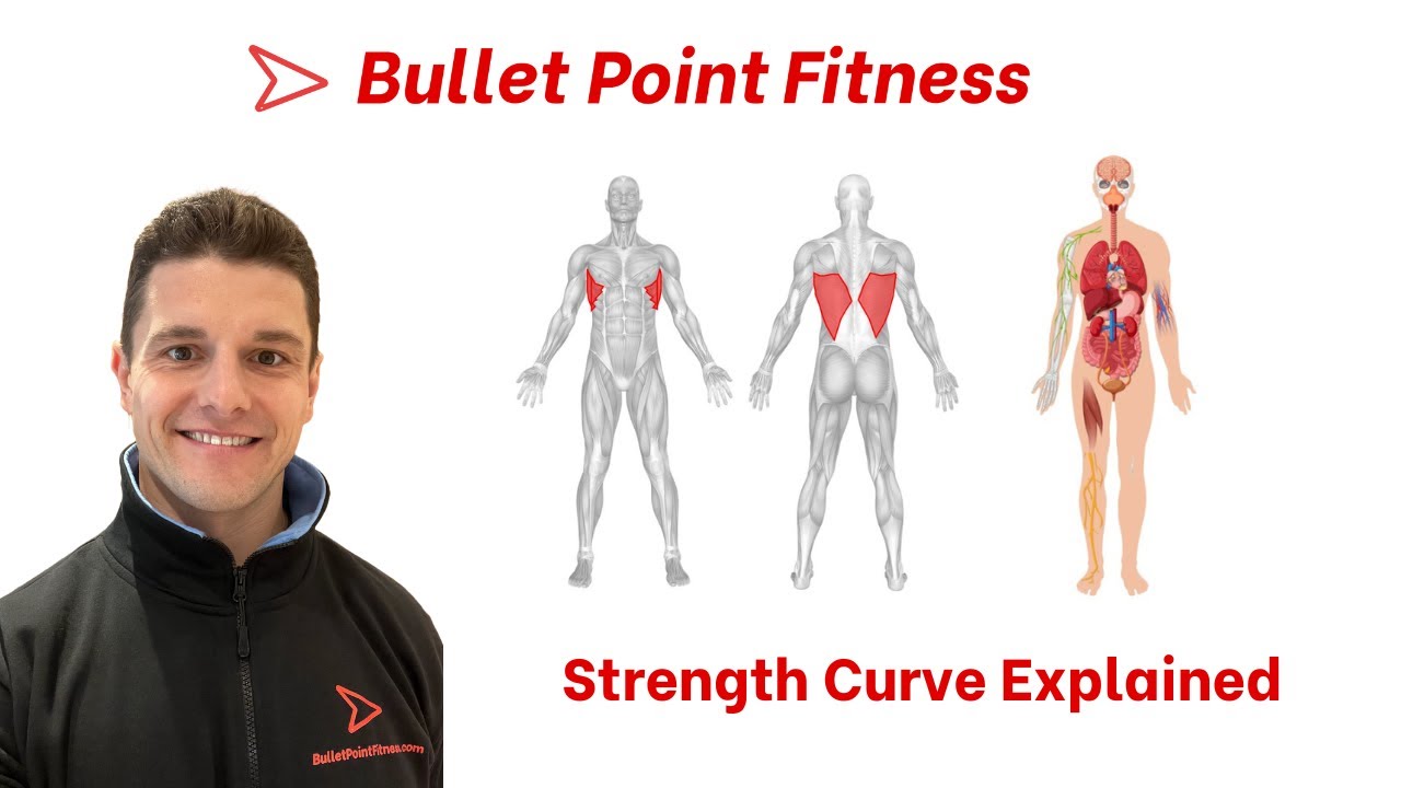 Strength Curve Explained by Bullet Point Fitness - YouTube