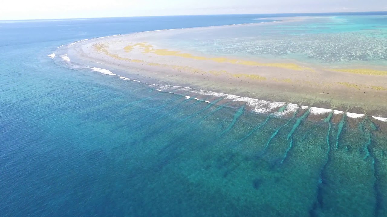 FITZROY REEF 2018 - HD 1080p - YouTube
