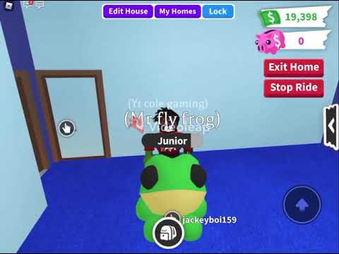 Roblox adopt me frog giveaway winner! - YouTube
