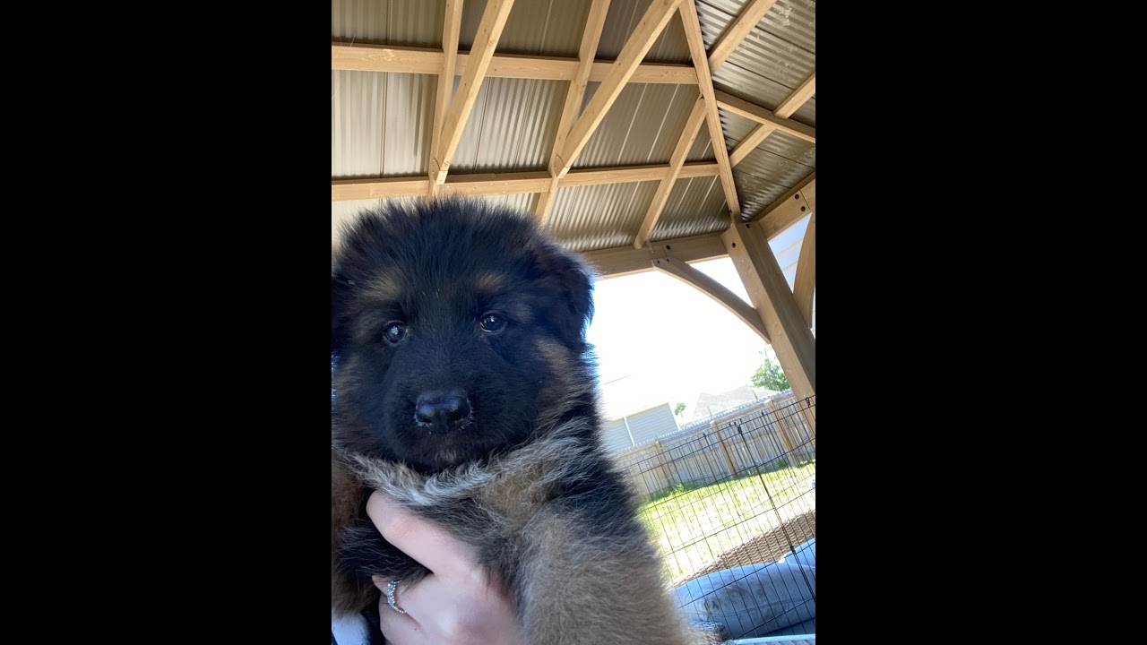 your.mom_Jake Live Stream - YouTube