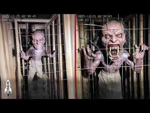 Câmera de trilha captura o que ninguém deveria ter visto!