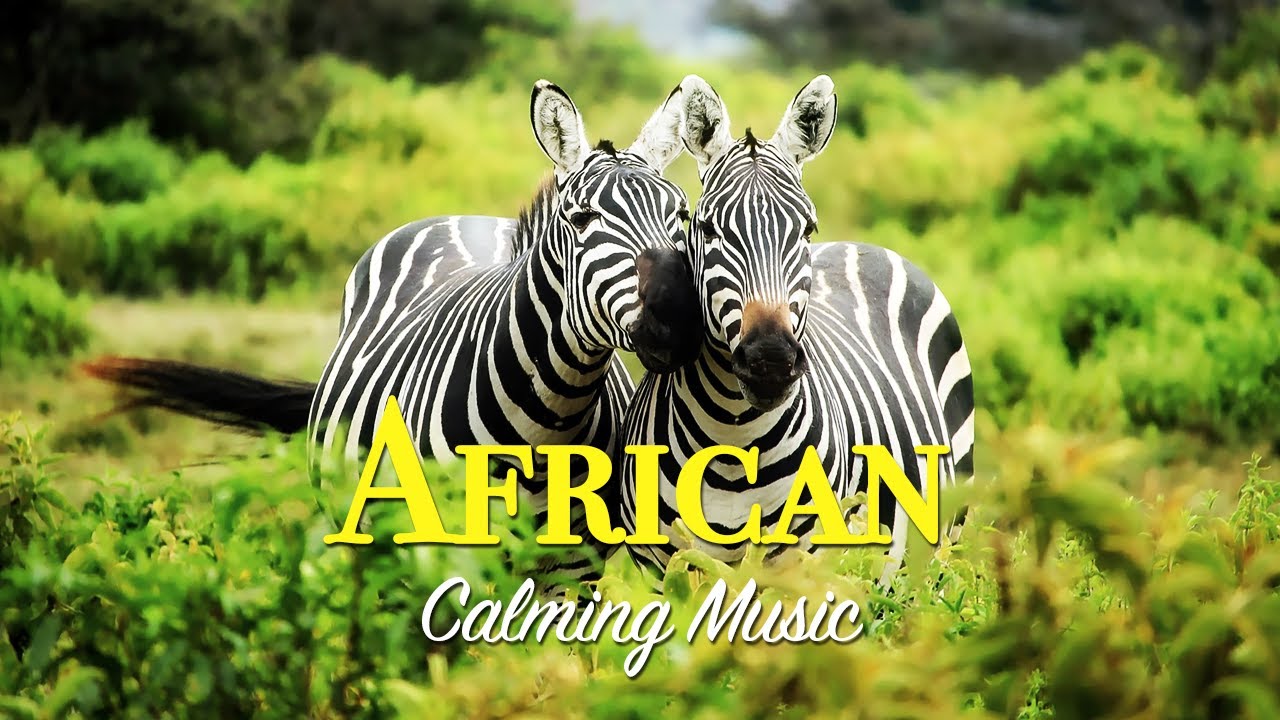 African 4K | African Relaxing Music | Scenic Relaxation Film With ...