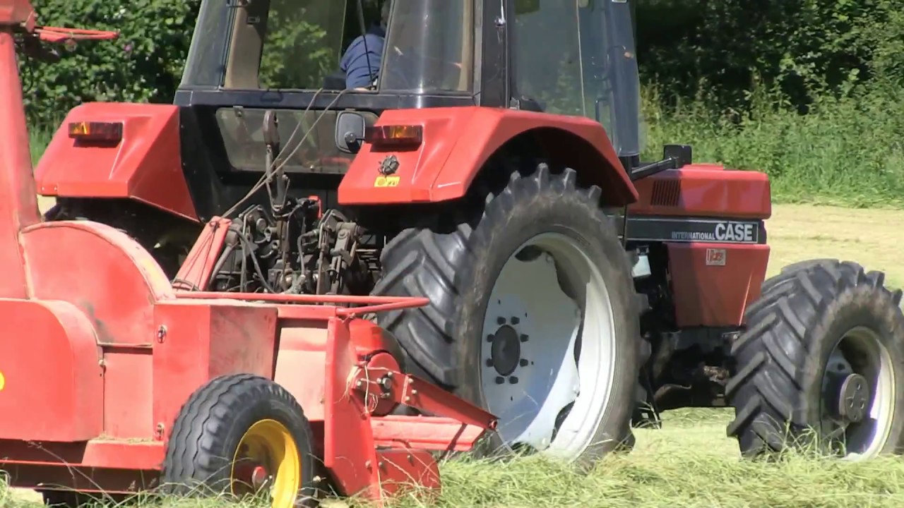 IH 956XL AND TAARUP 106 FORAGE HARVESTER - YouTube