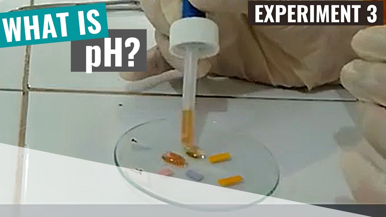 Experiment 3 (Group 4): What is pH? - YouTube