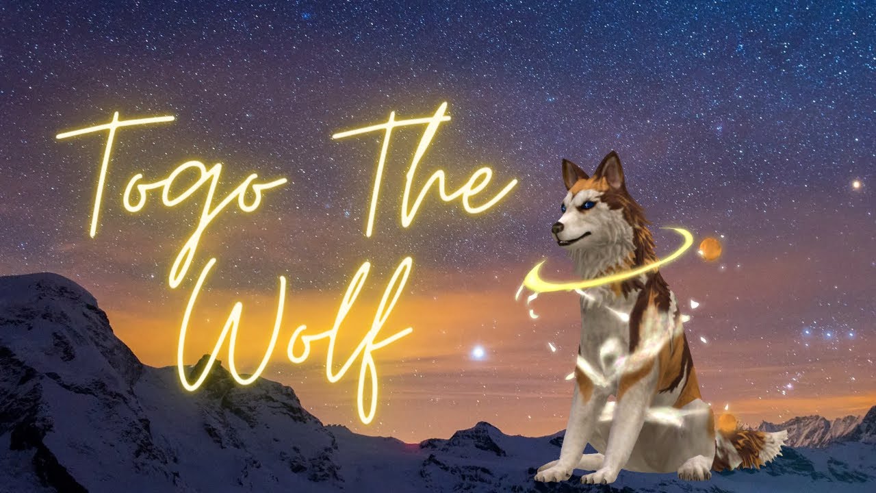 Official channel trailer - Togo The Wolf || WildCraft 🐺 - YouTube