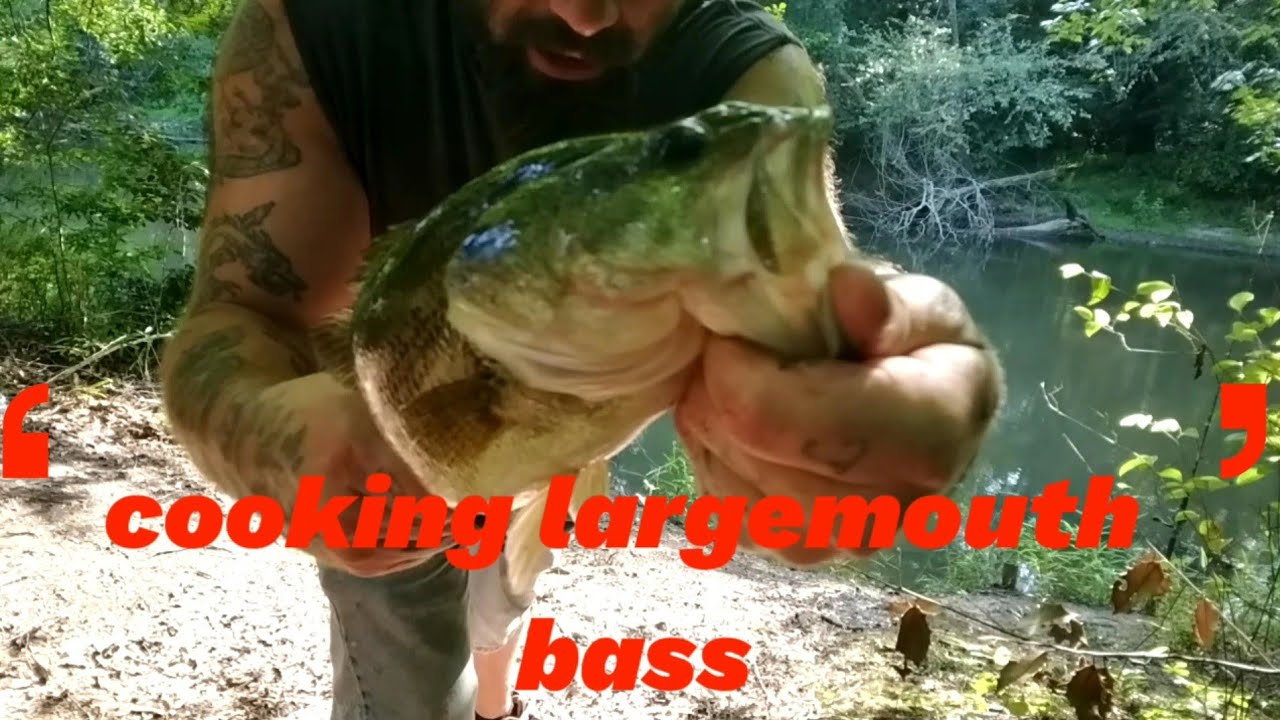 catch an cooking largemouth bass - YouTube