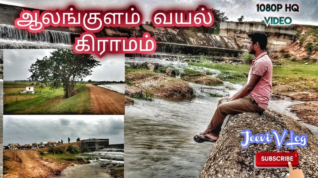 ஆலங்குளம் |alangulam Village |வயல் கிராமம்|water dam - YouTube