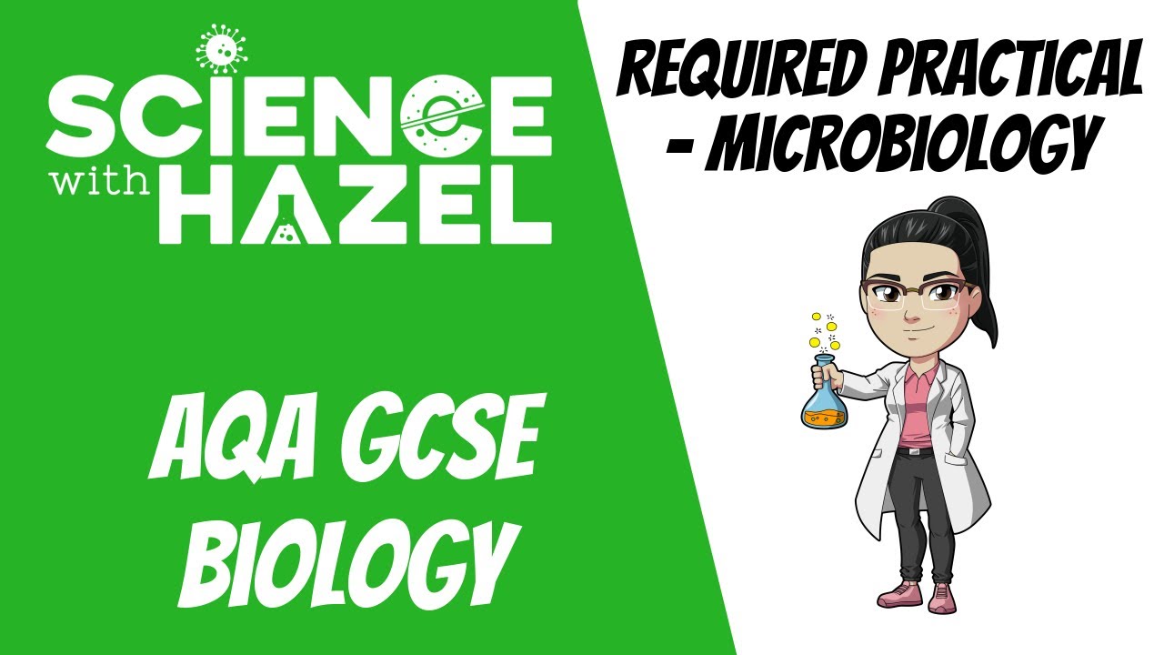 AQA GCSE Biology Required Practicals: Microbiology | GCSE Biology ...