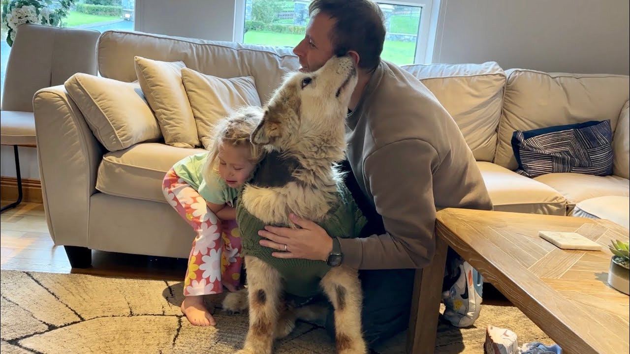 Howling Dogs Finally Reunited With Their Family! (They're So Noisy ...