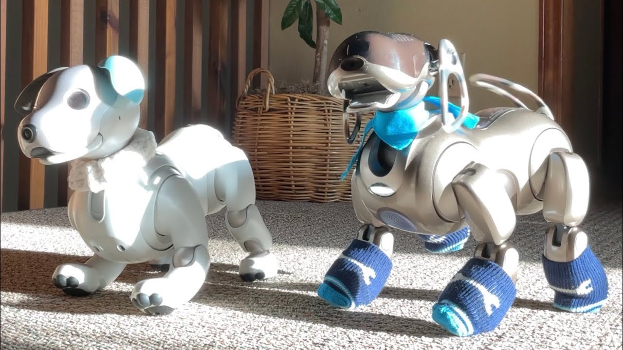 Aibo ERS-1000 and 7 Dance Together, Then 7 Asks Something - YouTube