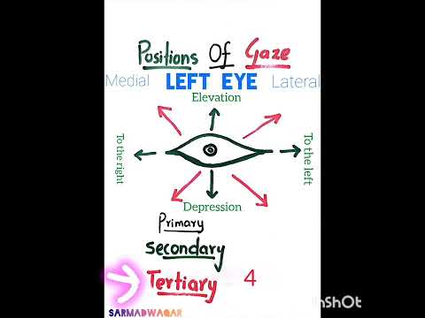 positions of gaze - 9 positions of gaze - YouTube