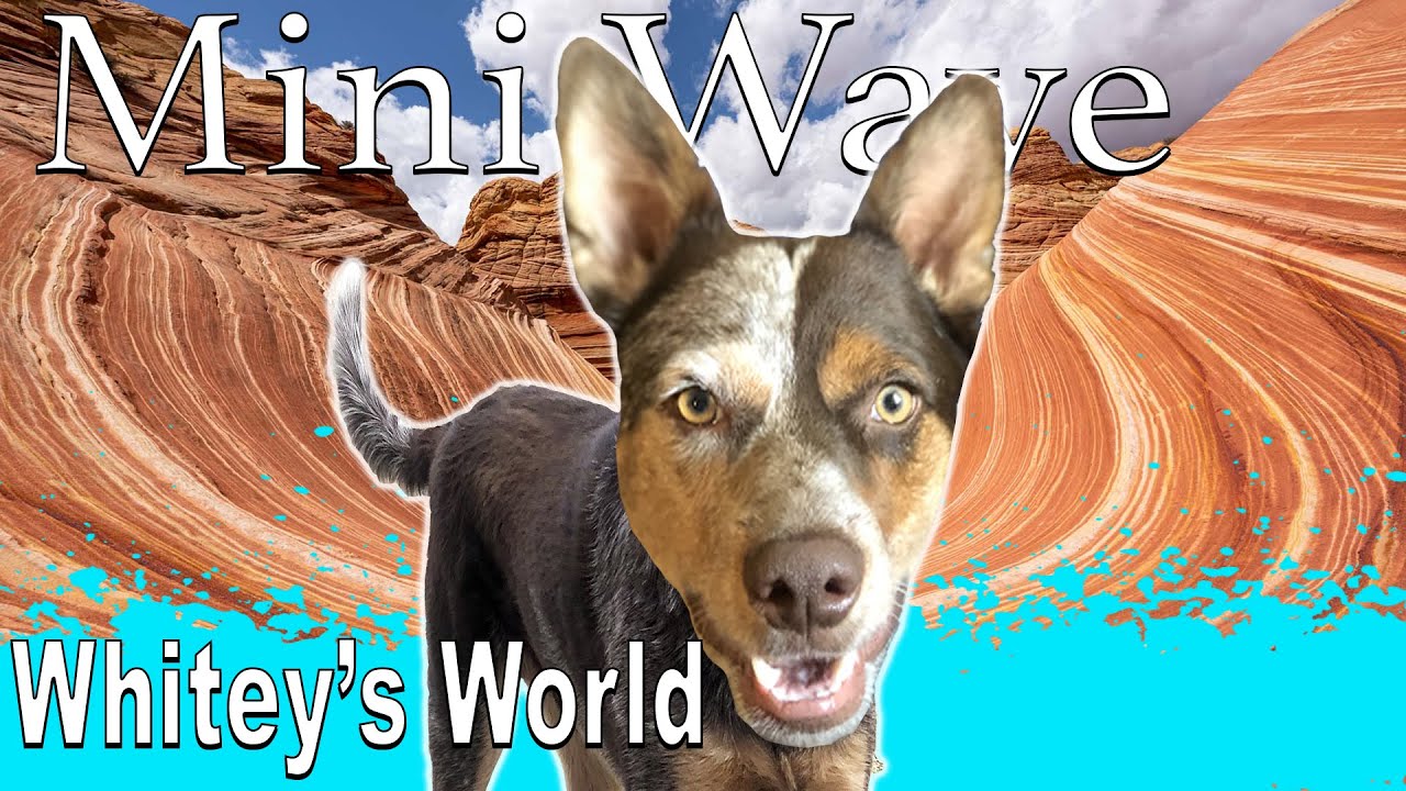 Exploring the Mini Wave | Things to do in Page Arizona | Whitey's World ...