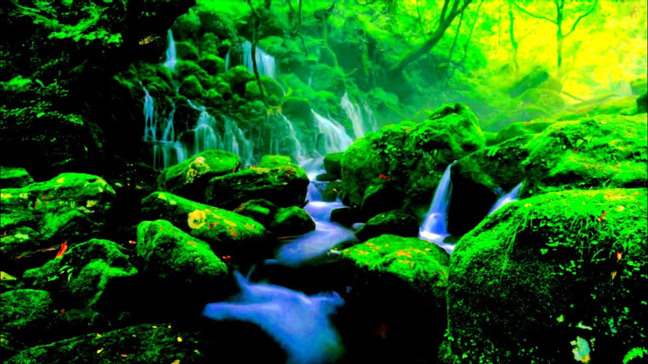 Relaxing Music/Beautiful Relaxing Music/Natural Music With Beautiful ...