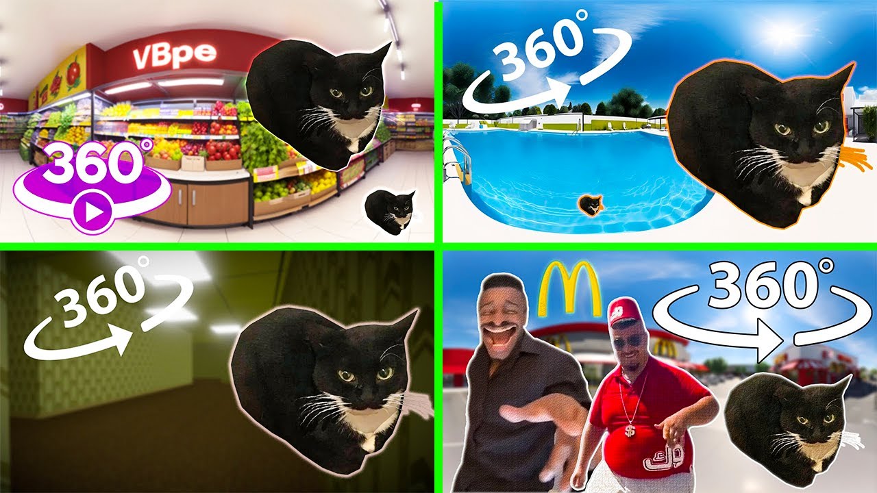 Maxwell Cat 360 Compilation | VR 360 4K - YouTube