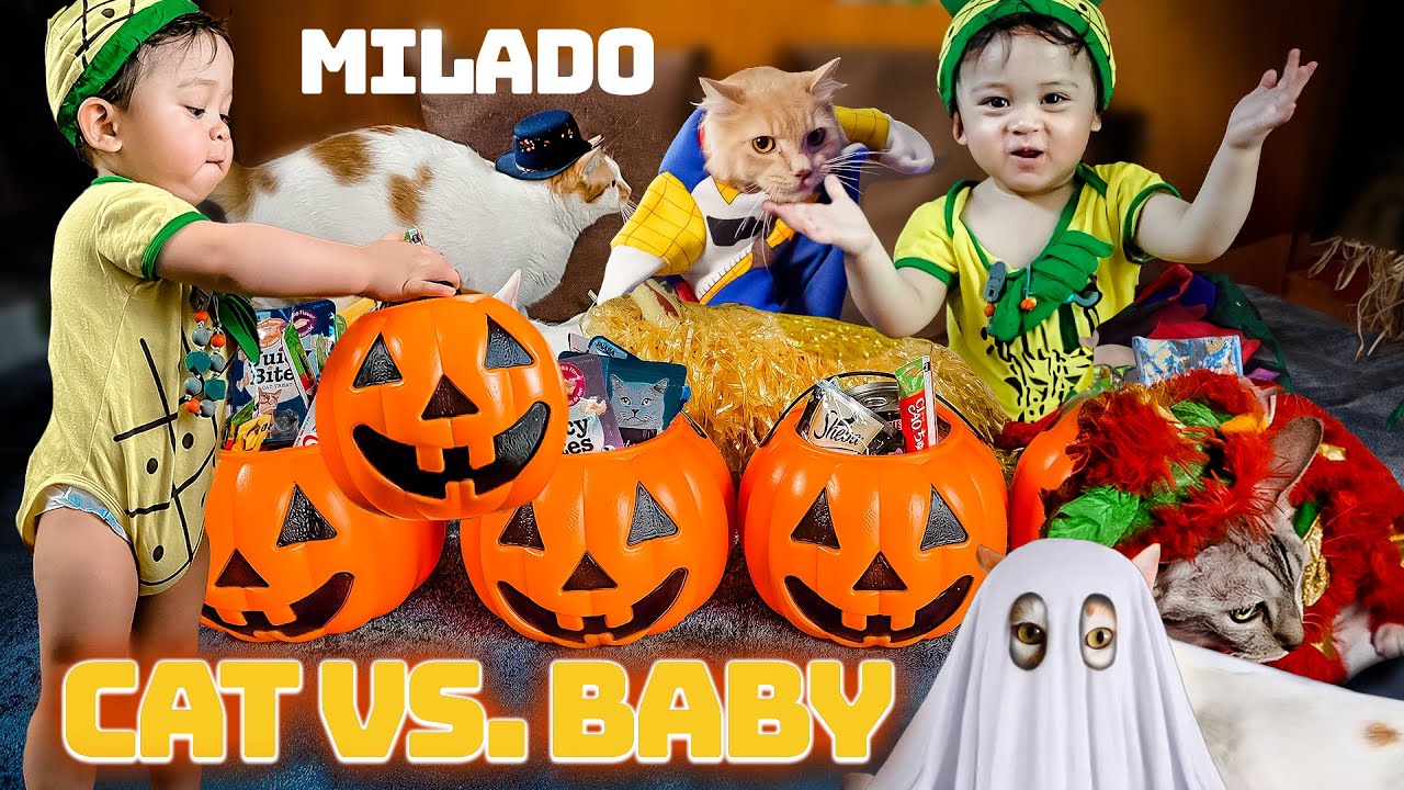 Our 1 YR OLD BABY Following Commands and Packed TREATS for His CATS 🎃 ...