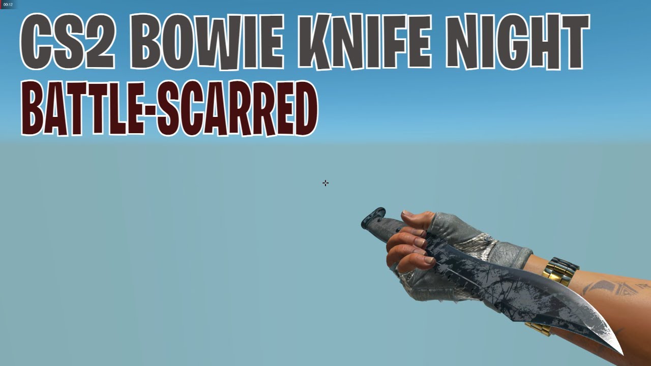 Bowie Knife Night (Battle-Scarred) | CS2 Skin Showcase #463 - YouTube