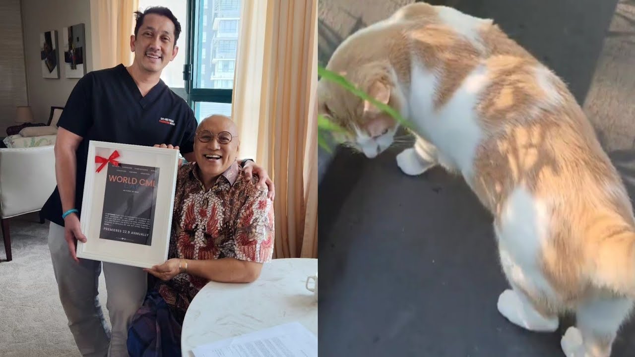 Dato'Chefwan,Tengok Tu Atok sampai rumah semua Cucu nak Manja-manja😺 ...