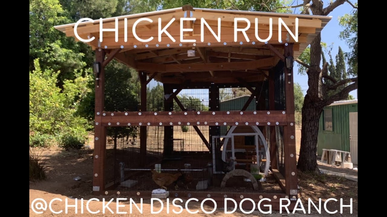 Our 2020 Chicken Run construction video - with hot chicks - YouTube