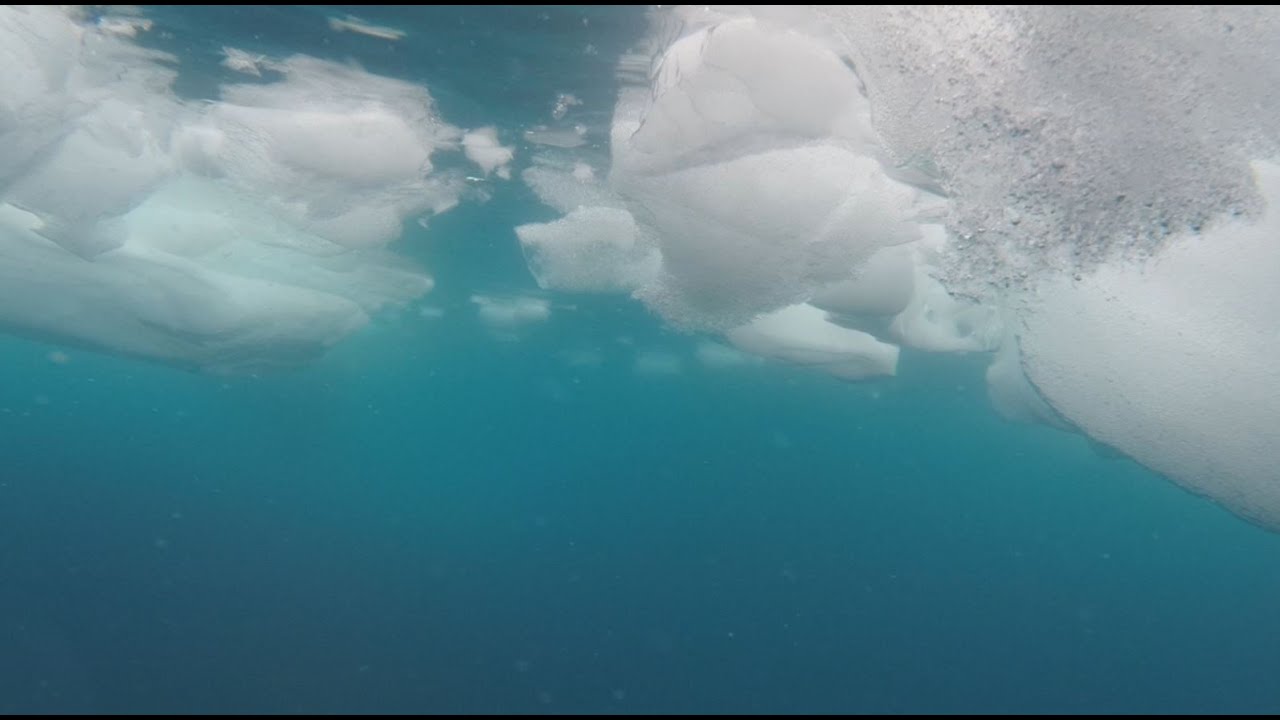 Polosud2023 - Antarctica - Foyn Harbor - Chirigran Bay - YouTube