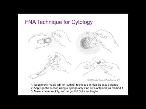 Tip 01   B   Jab Jab Jab