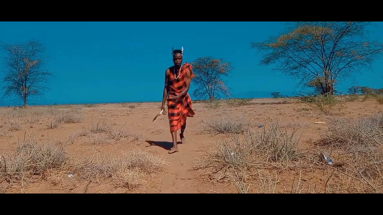 Diamond platnumz ft. koffi olomide - achii (official dance video) dance ...