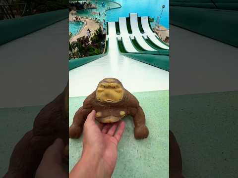 The Ultimate Squishy Monkey Waterslide Experiment