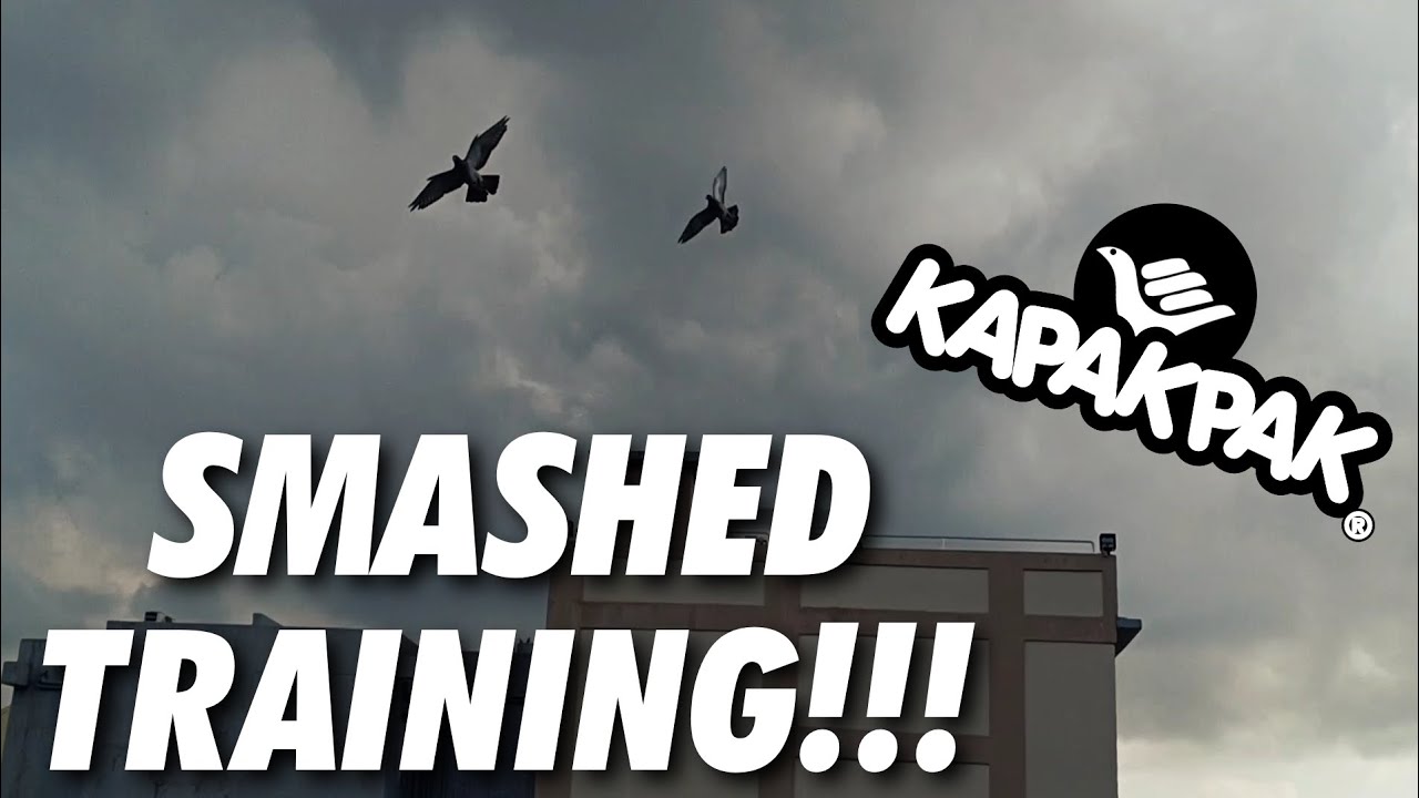 SMASHED TRAINING SA CABANATUAN!!! | EZEKIEL LUNAR LOFT - YouTube