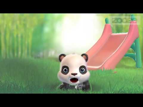 Konuşan Panda
