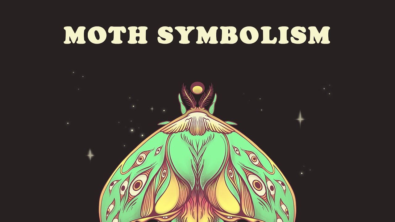 Moth Symbolism & Mythology - YouTube