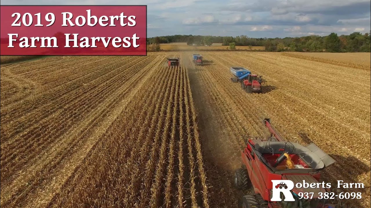 2019 Roberts Farms Harvest Video - YouTube
