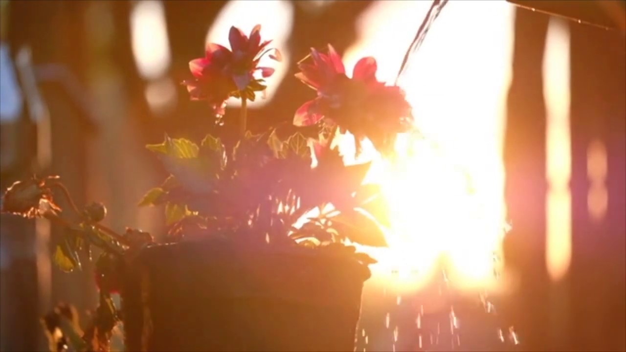 Luca Mundaca - Ha Dias (J.’s Downtown Remix) - YouTube