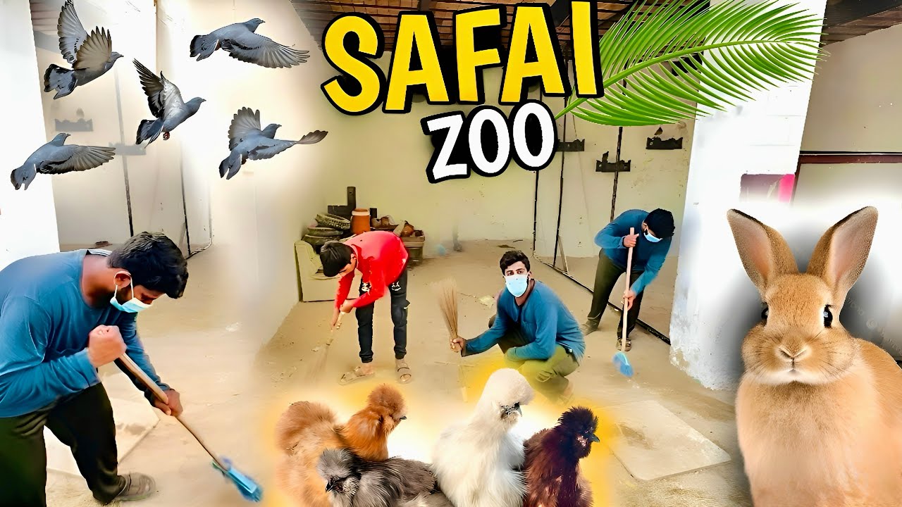 “Zoo Cleaning Day 🧹 | Amazing Animal Care & Safai Vlog | Rabbit ...
