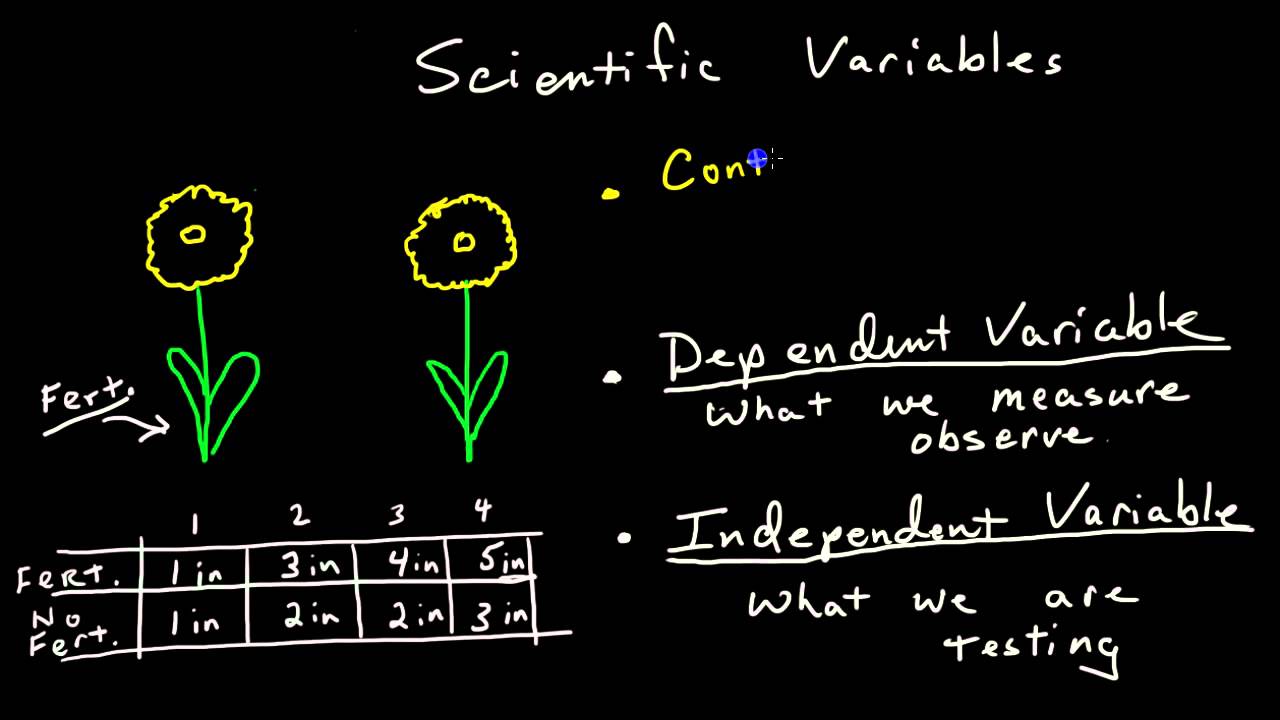 Scientific Variables - YouTube