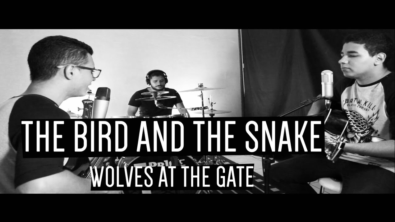 The Bird and the Snake (Wolves at the Gate acoustic cover) - YouTube