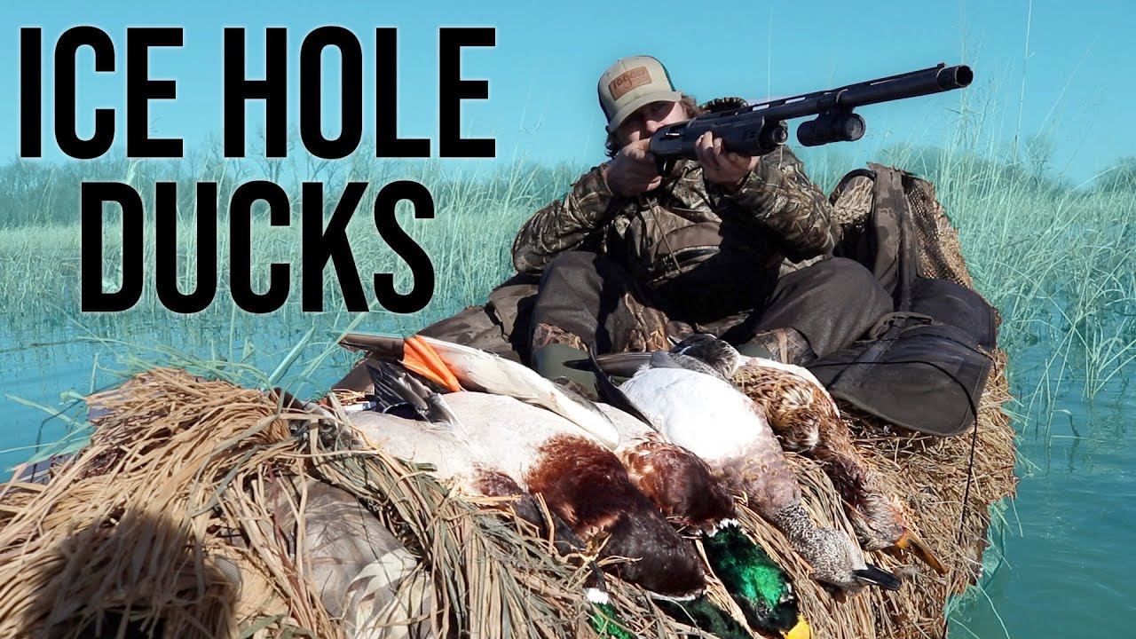 Ice Hole Ducks | Public Land Kayak Duck Hunt - YouTube
