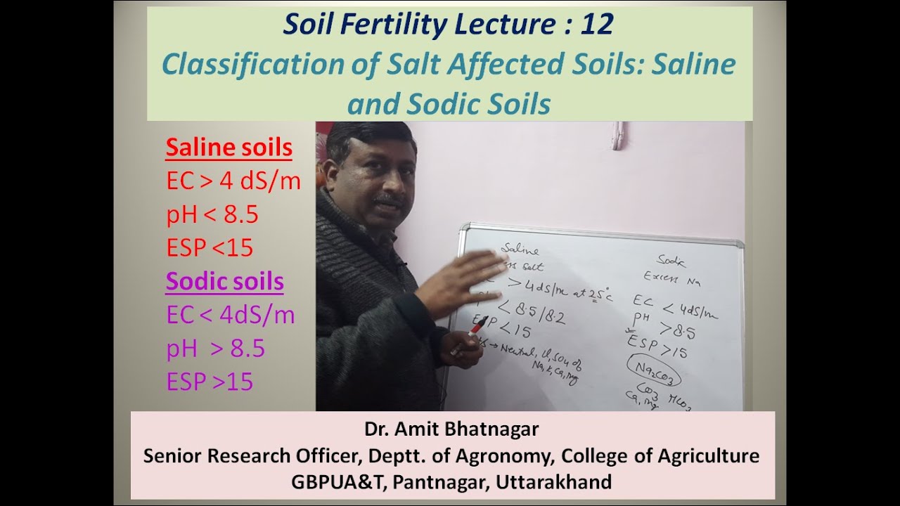 Classification of Salt Affected Soils : Saline and Sodic Soils - YouTube