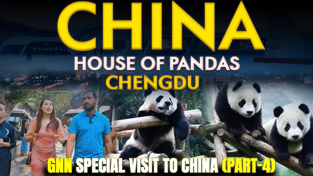 House of Pandas | Chengdu | Gnn Special Visit to China | Part-4 - YouTube