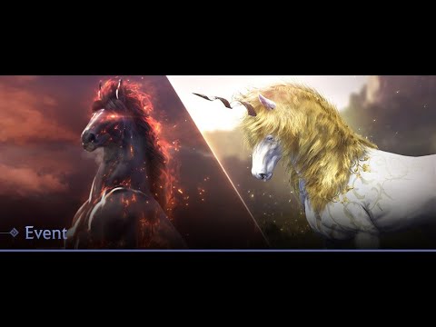 Courser Training 2ND time - dream horse Doom - black desert - YouTube