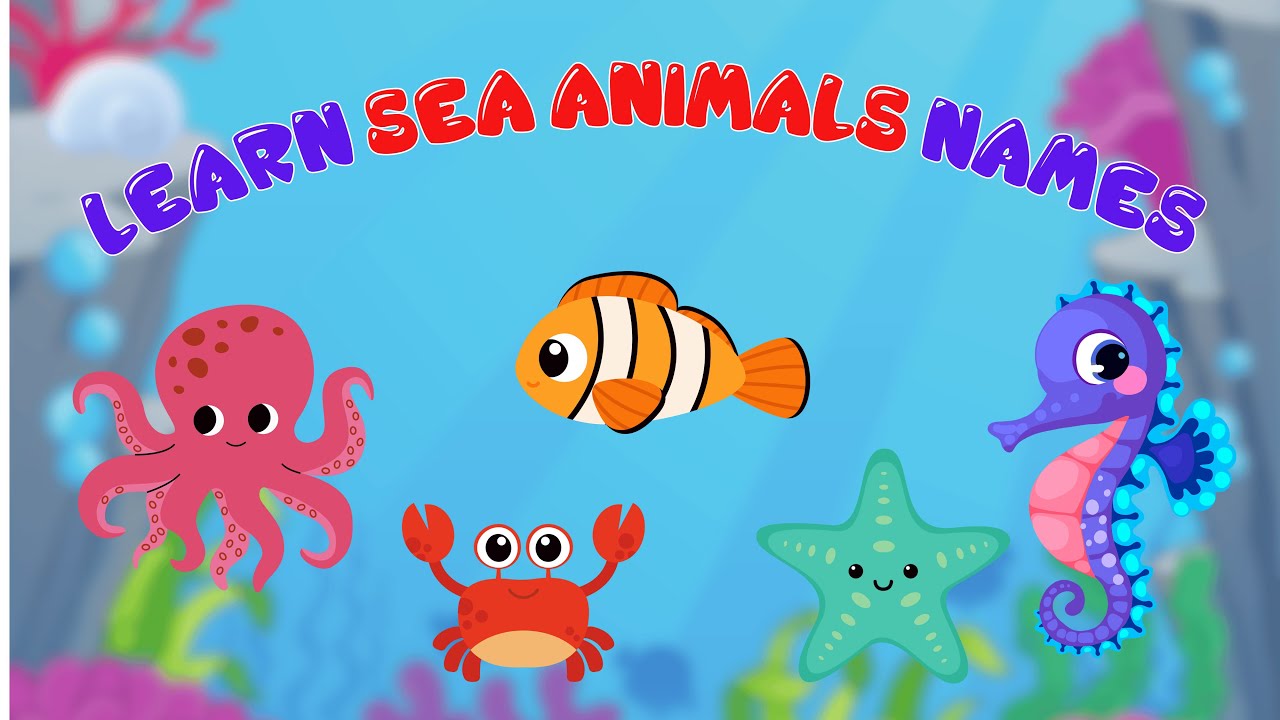 Learn Sea Animals for Kids | Fun and Educational Ocean Animal Lesson ...