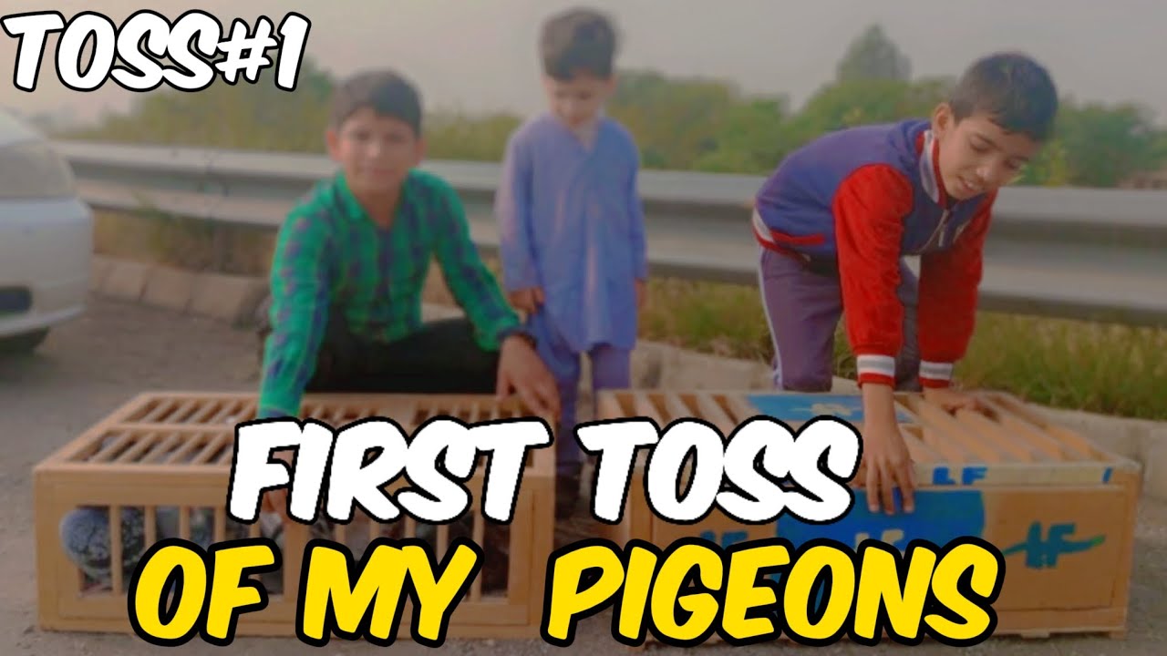 TOSS SERIES TOSS NO. 1 WATCH TOSS SERIES - YouTube
