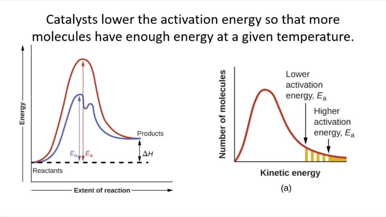 Catalysis - YouTube