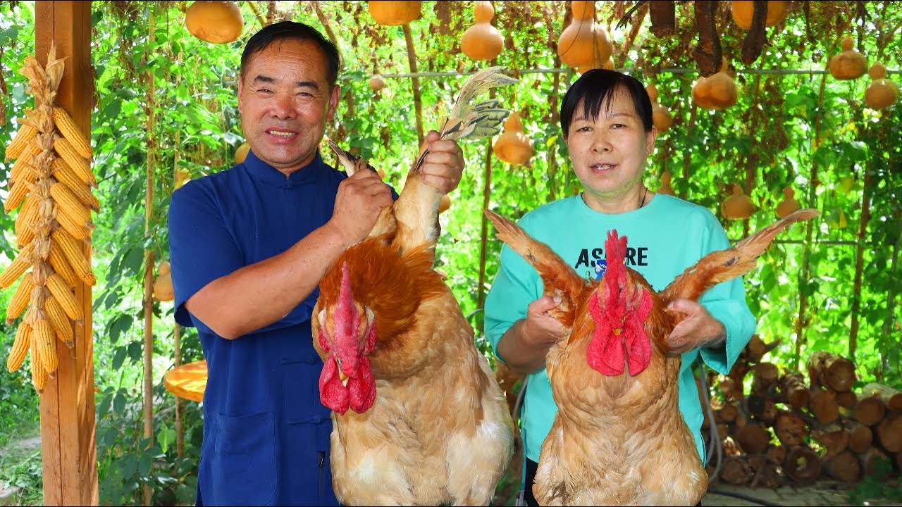 Most Liked Chili Chicken Recipe! 2 BIG Roosters with Potatoes and ...