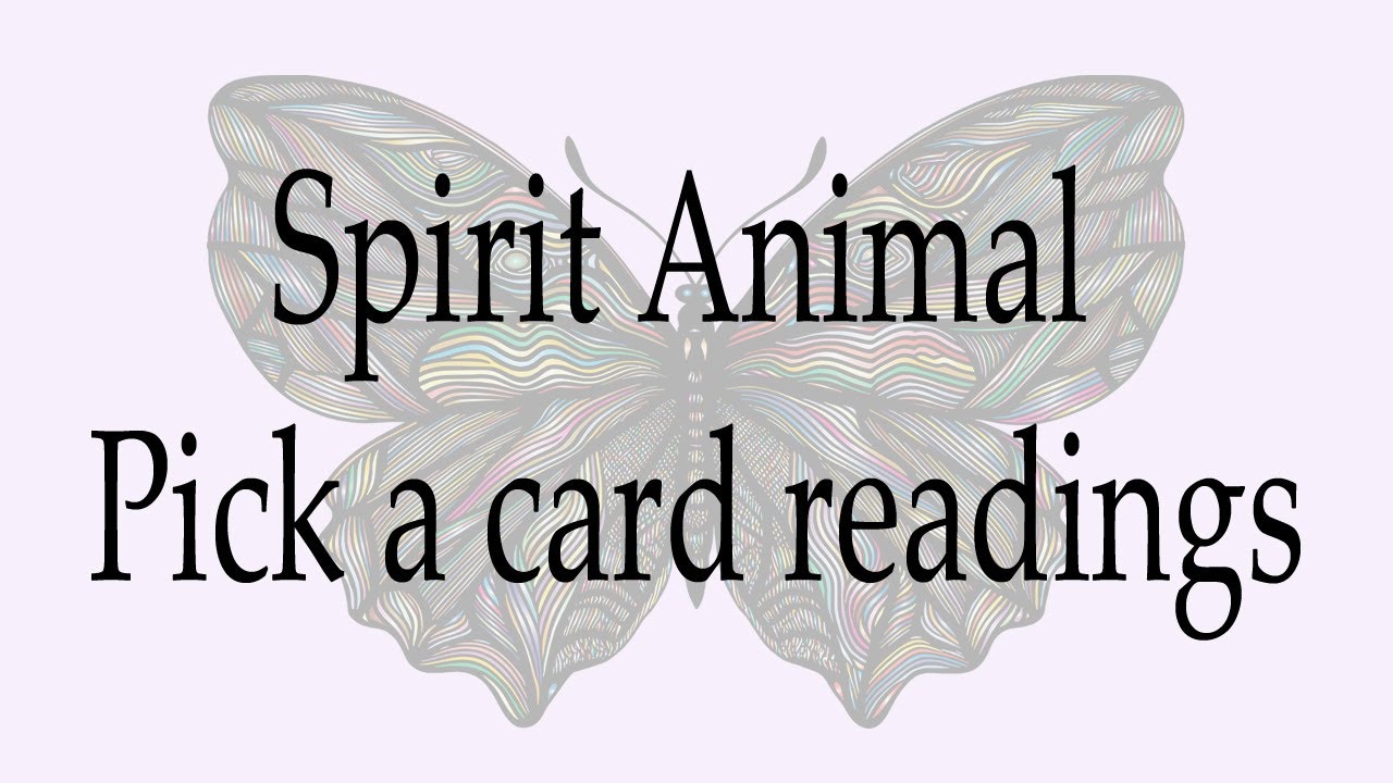 Spirit Animal Pick a card readings - YouTube